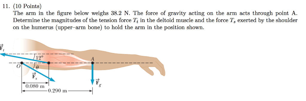 Solved The arm in the figure below weighs 38.2 N. The force | Chegg.com