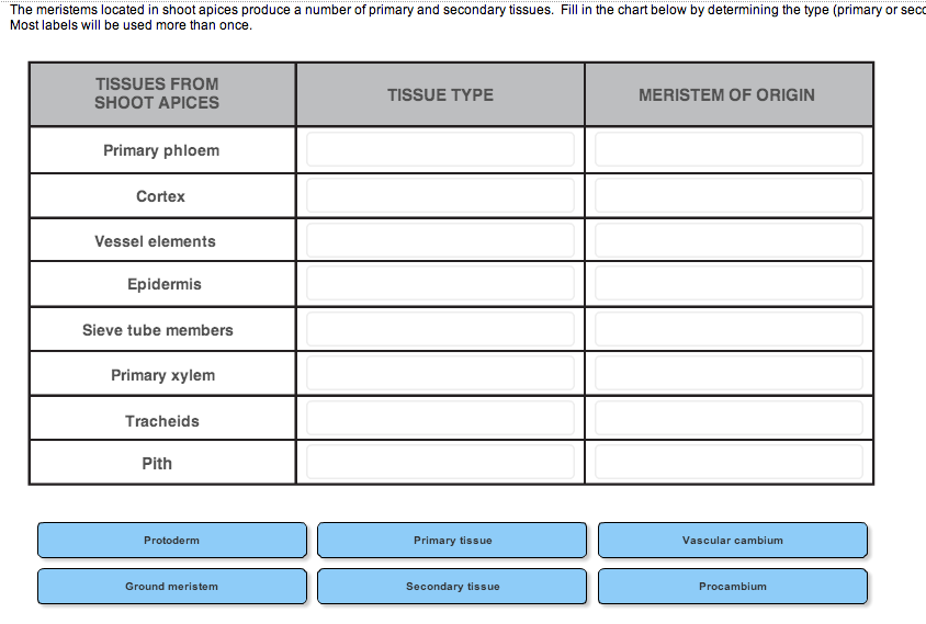 Solved The meristems located in shoot apices produce a | Chegg.com