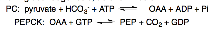Solved Pyruvate carboxylase (PC) and phosphoenolpyruvate | Chegg.com