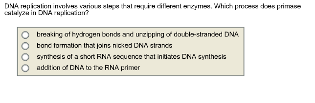 Solved DNA replication involves various steps that require | Chegg.com