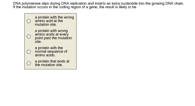 Solved DNA polymerase slips during DNA replication and | Chegg.com