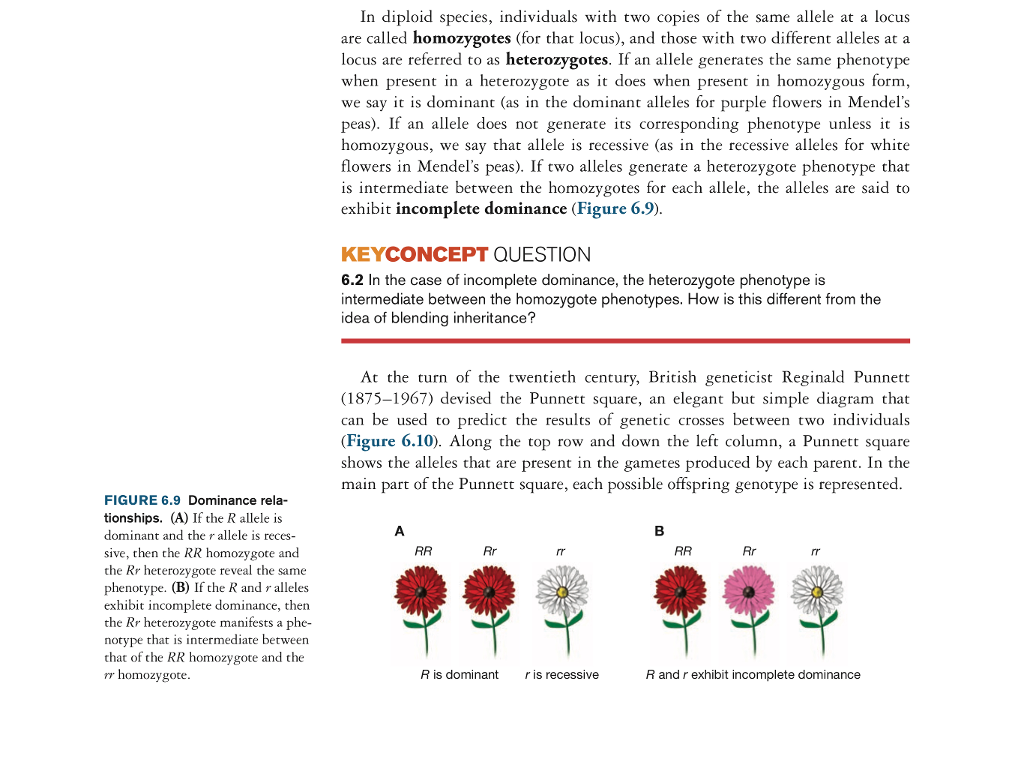 A Red Flower Rr And A Red Flower Rr Have The Same | Flower
