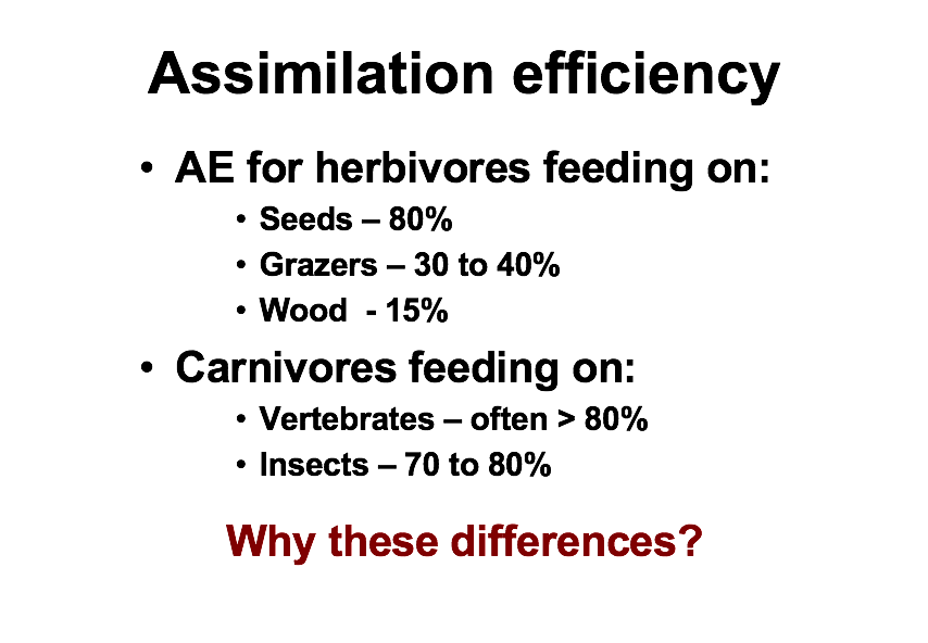 Solved Assimilation efficiency AE for herbivores feeding on: | Chegg.com