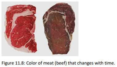 The color of meat (Figure 11.8) is determined by the | Chegg.com