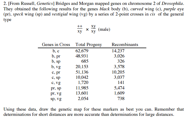 Solved Bridges and Morgan mapped genes on chromosome 2 of | Chegg.com
