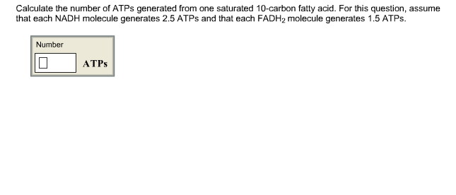 Solved Calculate the number of ATPs generated from one | Chegg.com