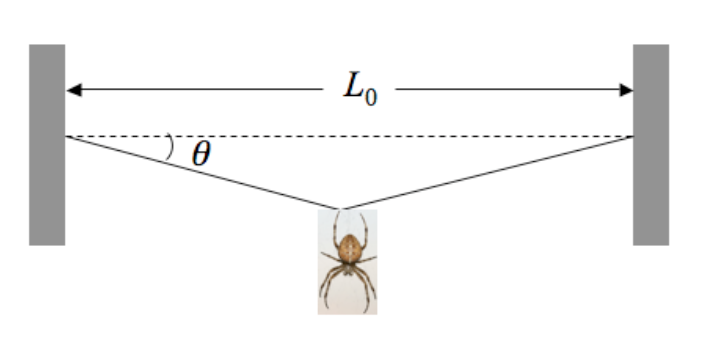 Solved A spider spins a fine thread of spider silk between | Chegg.com