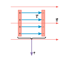 Solved The drawing shows a parallel plate capacitor that is | Chegg.com