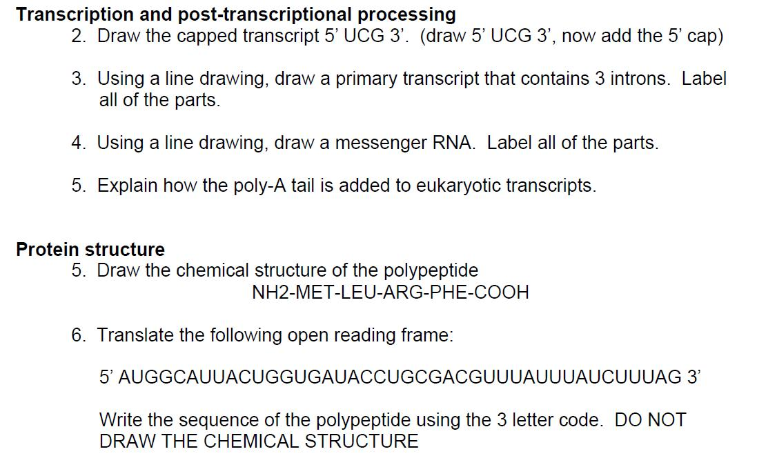 Solved Transcription and post-transcriptional processing 2. | Chegg.com