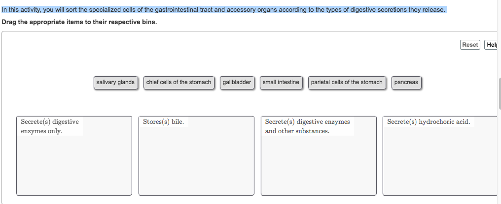 Solved In this activity, you will sort the specialized cells | Chegg.com