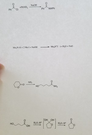 Solved NnOH +PhNH, Ph/ -,NHPh Me2N-H + 2 Me-l + NaOH | Chegg.com