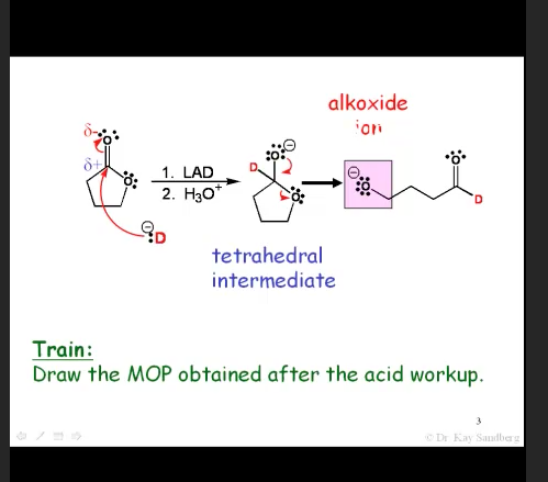 Solved alkoxide tetrahedral intermediate train: Draw the MOP | Chegg.com