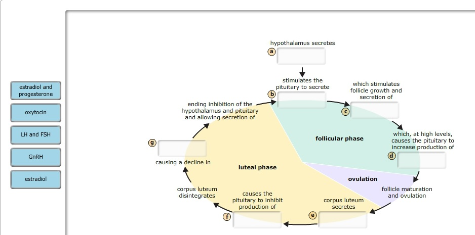 Solved Part B - Hormonal control of the ovarian cycle in | Chegg.com