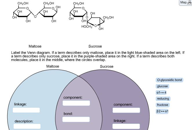 Maltose Structure Diagram