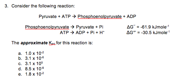 Solved 3. Consider the following reaction: Pyruvate+ATP | Chegg.com