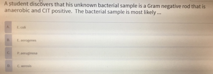 Solved A student discovers that his unknown bacterial sample | Chegg.com