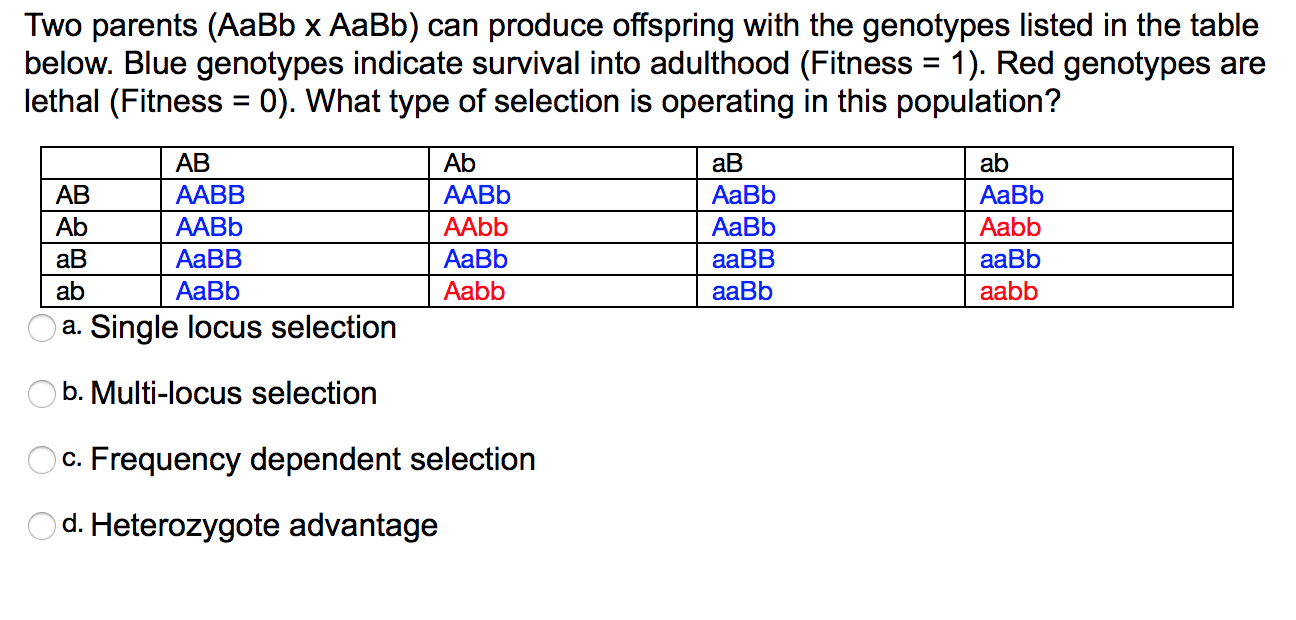 Solved Two parents (AaBb x AaBb) can produce offspring with | Chegg.com
