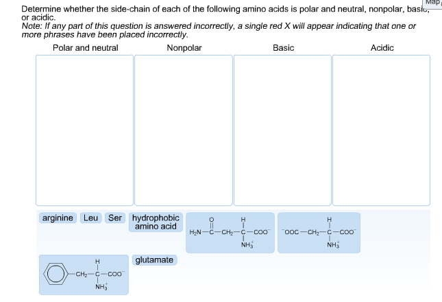Solved Determine whether the side-chain of each of the | Chegg.com
