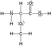 Solved What is the molecular geometry around oxygen atom | Chegg.com