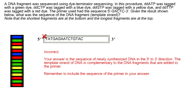 A DNA fragment was sequenced using dye-terminator | Chegg.com