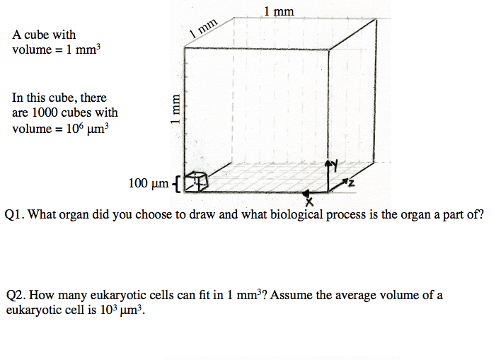 Solved I need help with question 1-9 on nested cubes for my | Chegg.com