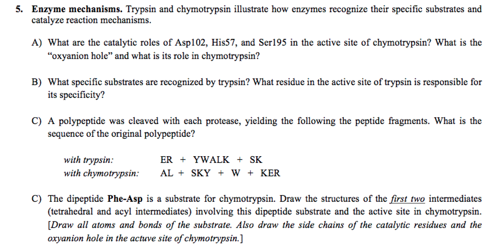 Solved Trypsin And Chymotrypsin Illustrate How Enzymes