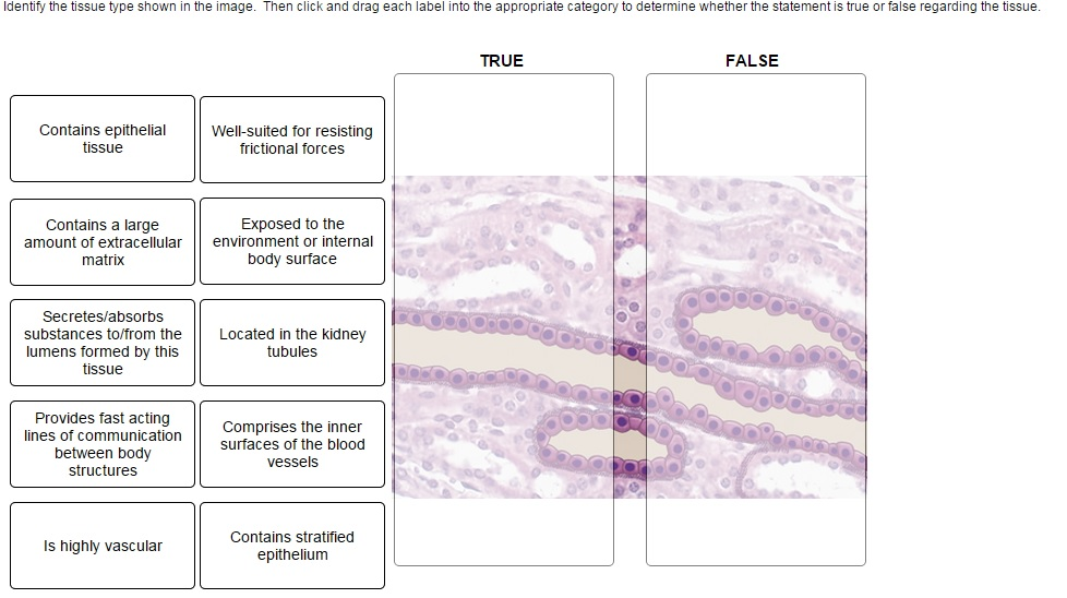 Biology Archive | May 19, 2015 | Chegg.com