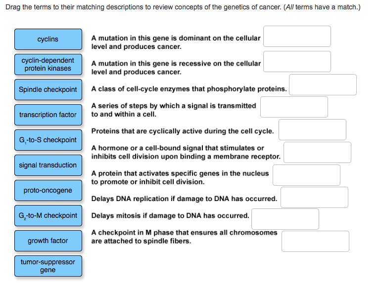 Solved Drag the terms to their matching descriptions to | Chegg.com
