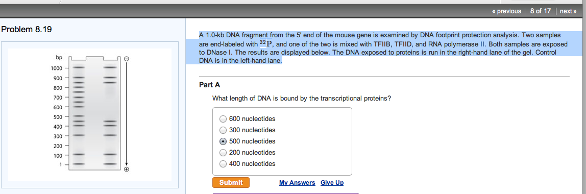Solved A 1.0-kb DNA fragment from the 5' end of the mouse | Chegg.com Solved A 1.0-kb DNA fragment from the 5' end of the mouse | Chegg.com