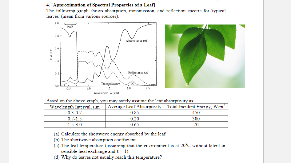 Solved 4. [Approximation of Spectral Properties of a Leaf] | Chegg.com