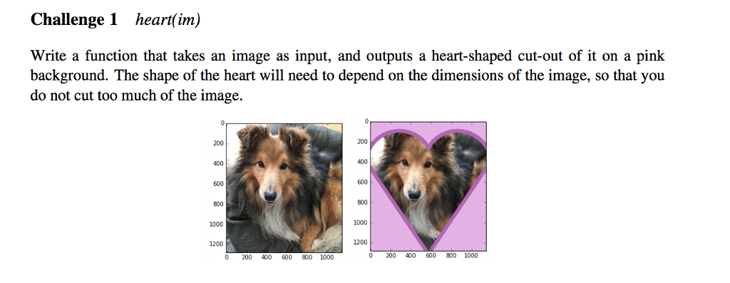 Solved Write a function that takes an image as input, and | Chegg.com