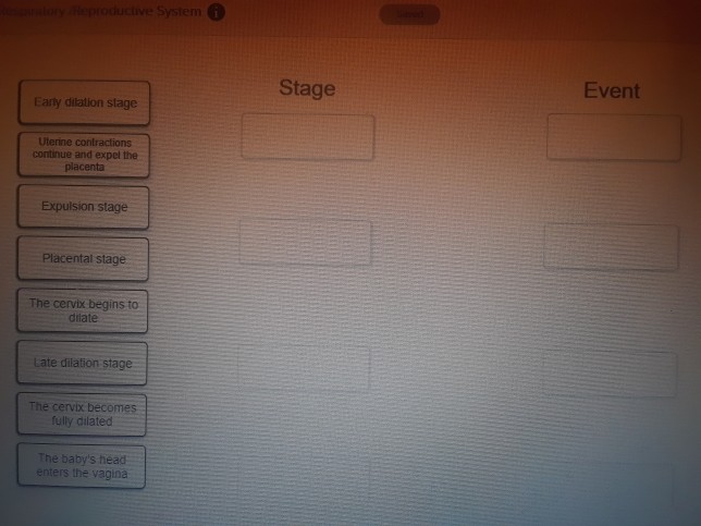 Solved read each name and event description below. Then | Chegg.com