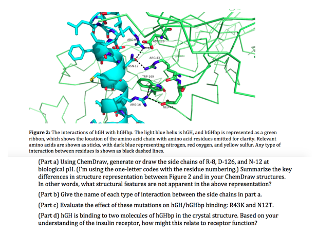 The human growth factor(hGH) is a peptide hormone | Chegg.com
