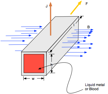 Solved The Electromagnetic Pump: Magnetic forces acting on | Chegg.com