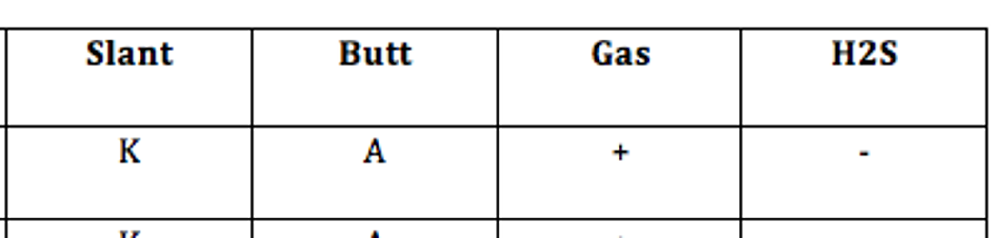 Solved TSI slant results What possible bacteria | Chegg.com