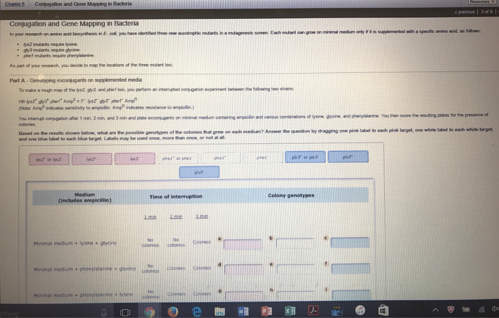 Chapter Conjugation and Gene Mapping in Bacleria | Chegg.com
