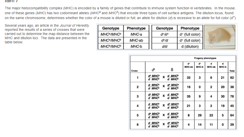 Solved The major histocompatibility complex (MHC) is encoded | Chegg.com
