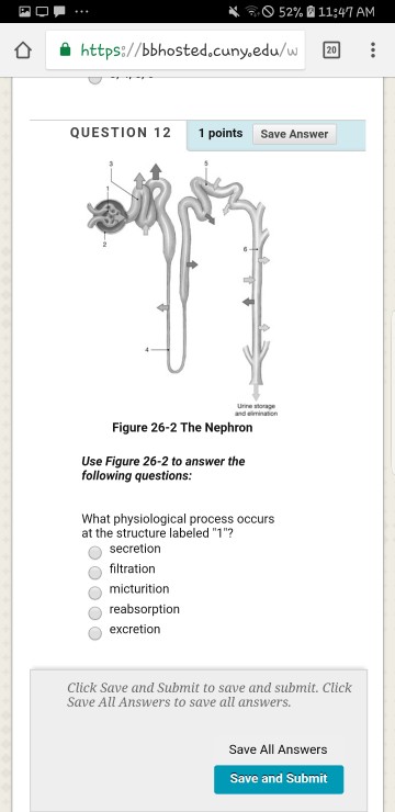 Solved 52% a 11:47 AM https://bbhosted.cuny,eduwi QUESTION | Chegg.com