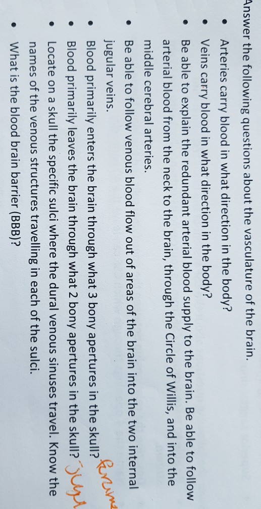 Solved Answer the following questions about the vasculature | Chegg.com