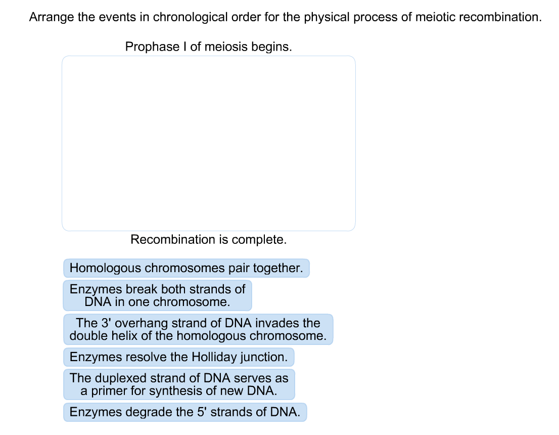 Solved Arrange the events in chronological order for the | Chegg.com