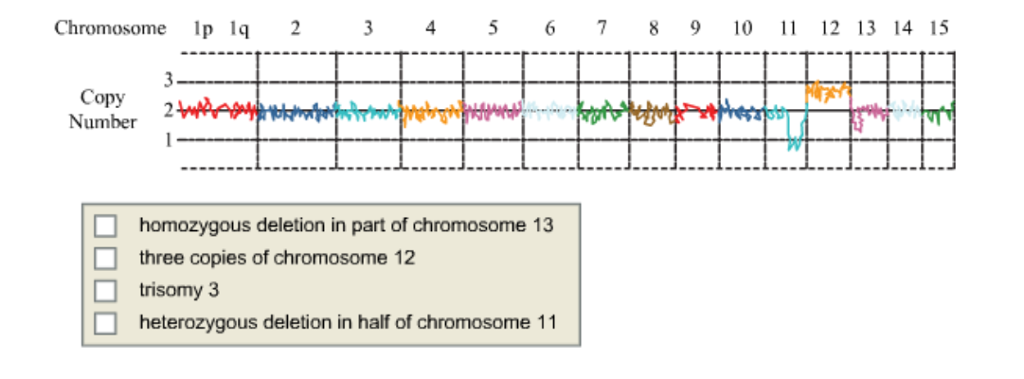 Solved Below is part of a virtual karyotype of a tumor from | Chegg.com