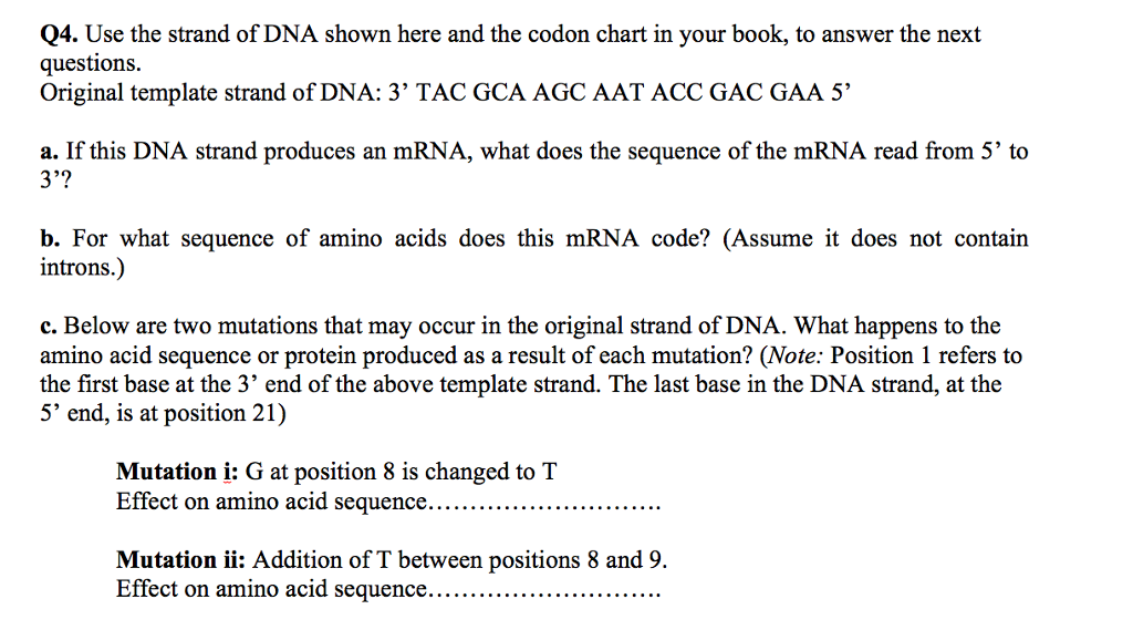 Solved Q4. Use the strand of DNA shown here and the codon | Chegg.com