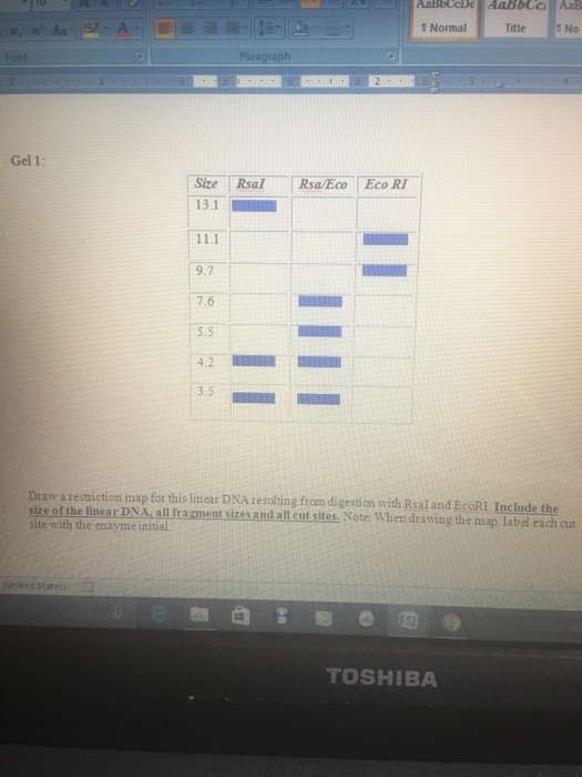 Solved Draw a restriction map for this linear DNA resulting | Chegg.com
