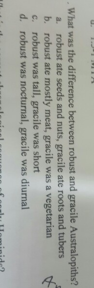 Solved What was the difference between robust and gracile | Chegg.com