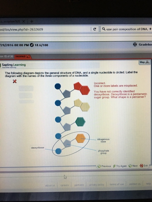 Solved The following diagram depicts the general structure | Chegg.com Solved The following diagram depicts the general structure | Chegg.com