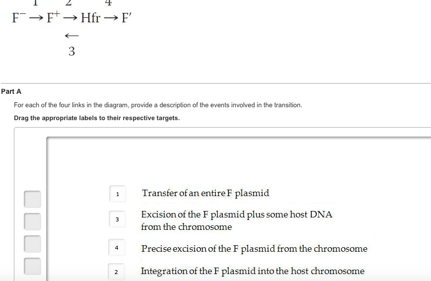 Solved The flow diagram shown below identifies possible | Chegg.com