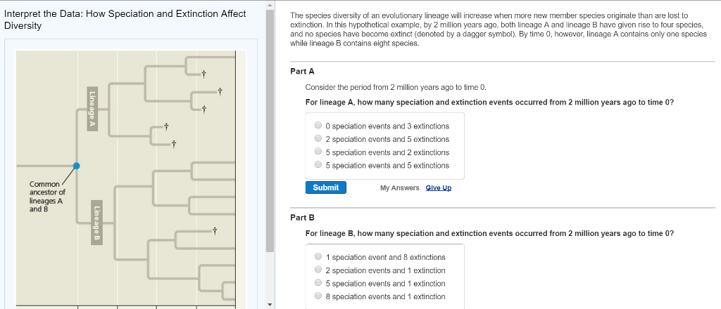 Solved Interpret the Data: How Speciation and Extinction | Chegg.com