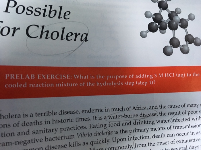 Solved What is the purpose of adding 3 M HCl (aq) to the | Chegg.com
