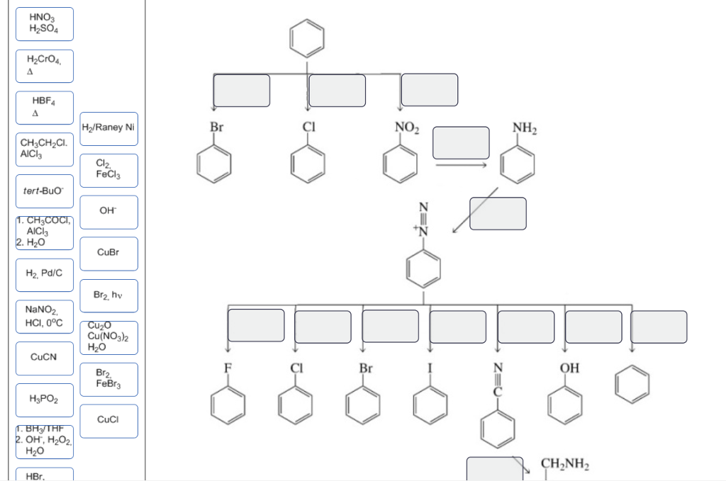 Solved HNO3 H2SO4 HBFA Cl ??2 NH2 Br H2/Raney Ni CH3CH2CI | Chegg.com
