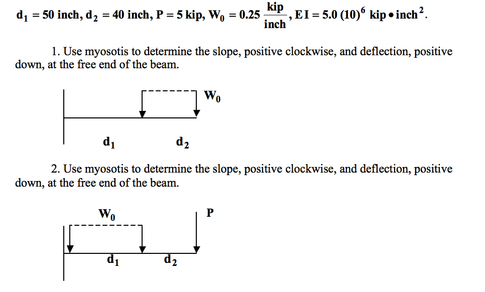 Solved Use myosotis to determine the slope, positive | Chegg.com